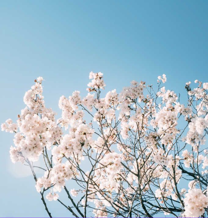 FCAWA Conference 2023 - FCAWA